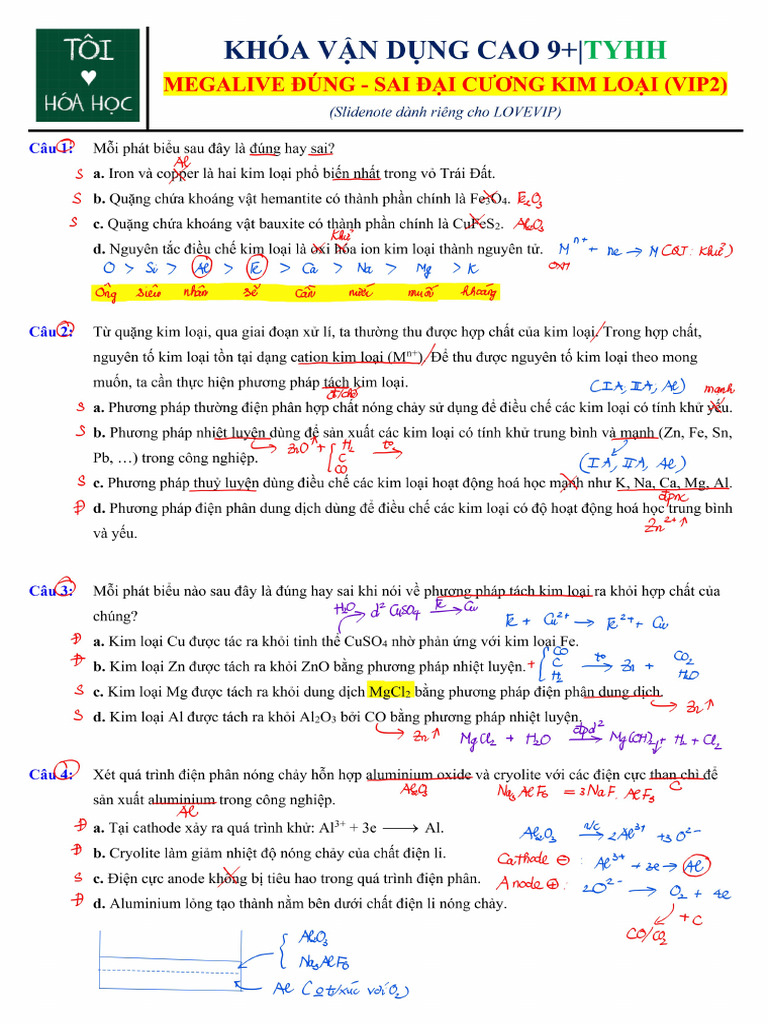 Phat Bieu Dung Sai Dai Cuong Kim Loai Vip2 | PDF
