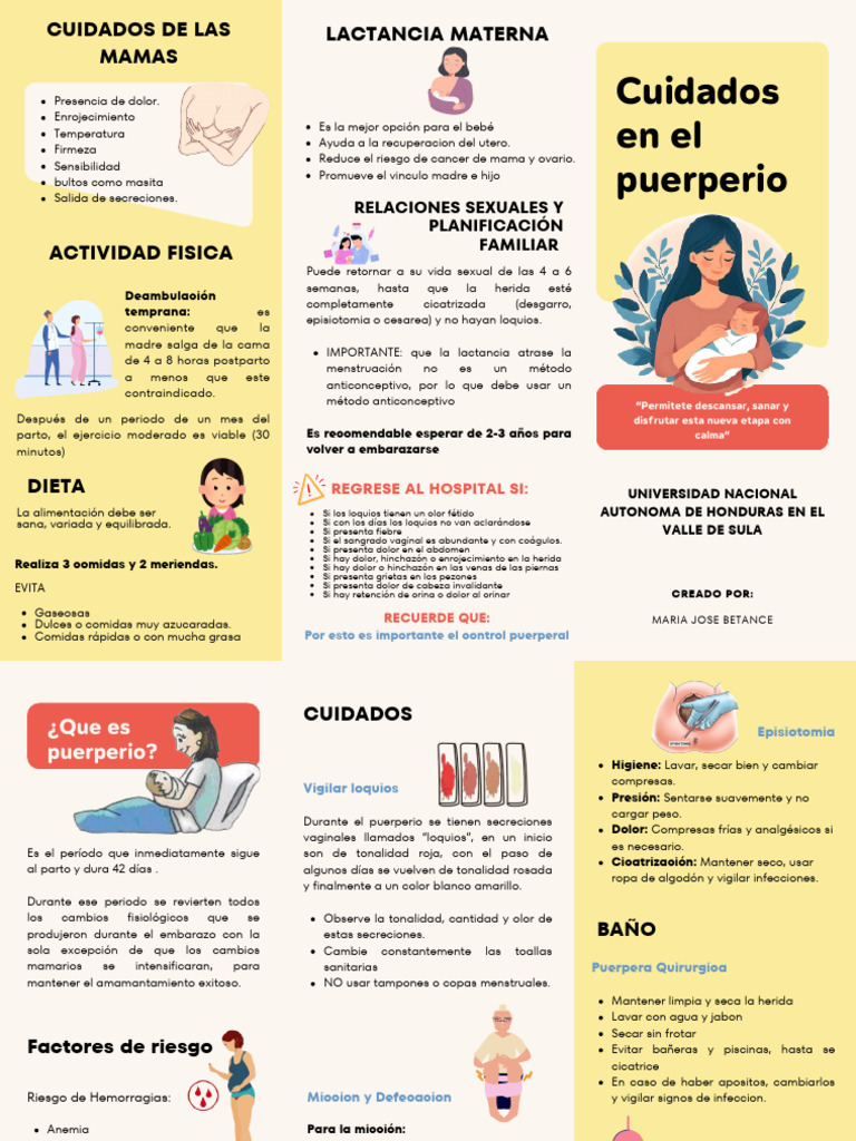 Cuidados en El Puerperio (2) | PDF | Periodo posparto | El embarazo