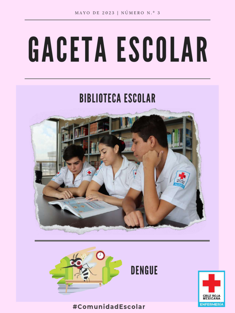 Gaceta Escolar | PDF | Enseñando | Aprendizaje