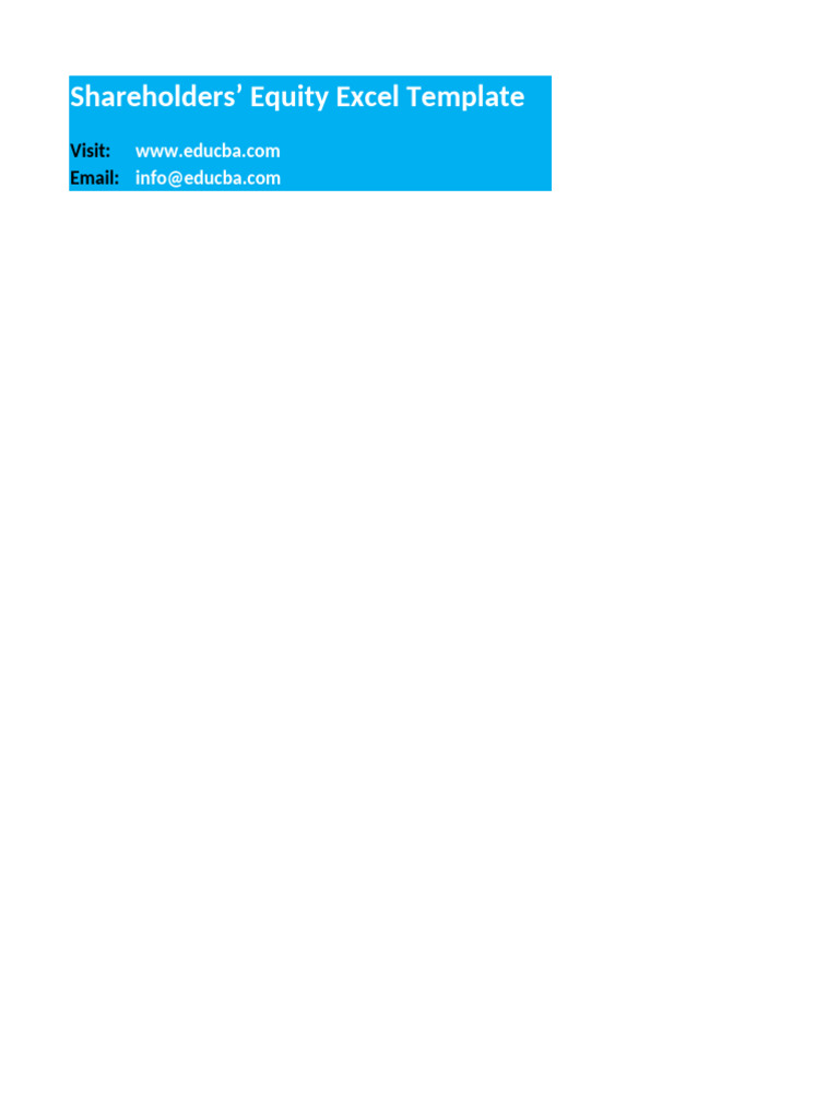 Shareholders%u2019-Equity-Formula-Excel-Template | PDF