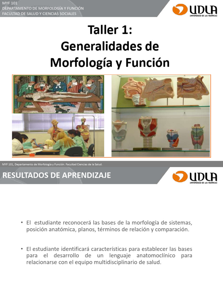 Clase de TALLER 1 MYF 101 - Generalidades de Anatomía | PDF | Articulación | Hueso
