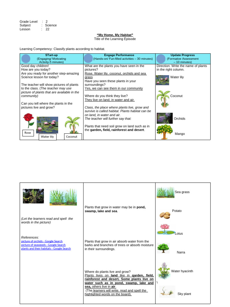 Classifying Plants by Habitat for Kids | PDF | Habitat | Earth Sciences