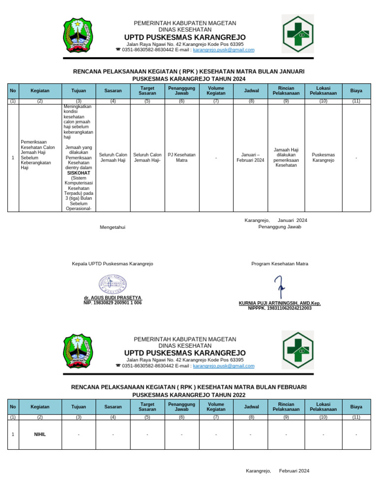 RPK Bulanan Kesehatan Matra 2024 | PDF
