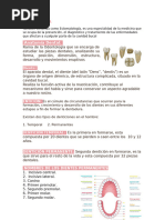 Caras y Anatomía de los Dientes | PDF | Odontología | Anatomia dental