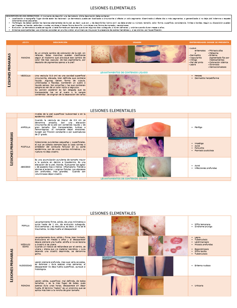 Lesiones Elementales | PDF | Piel | Epidermis
