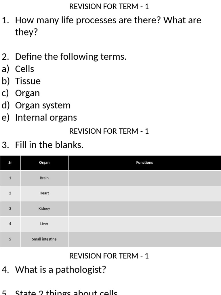 MS Year 7 Revision Term 1 | PDF | Cell (Biology) | Human Body