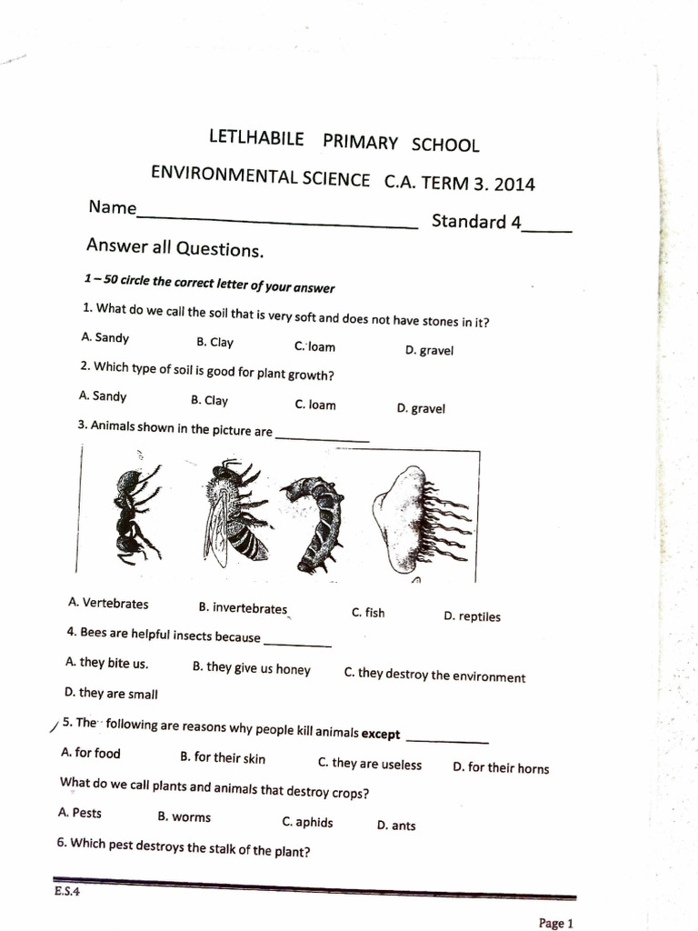 E Science | PDF