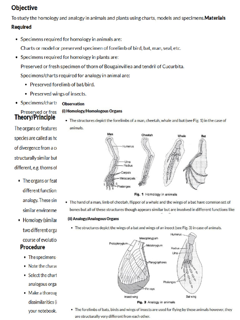 Practical Homologous Analogous Organ | PDF