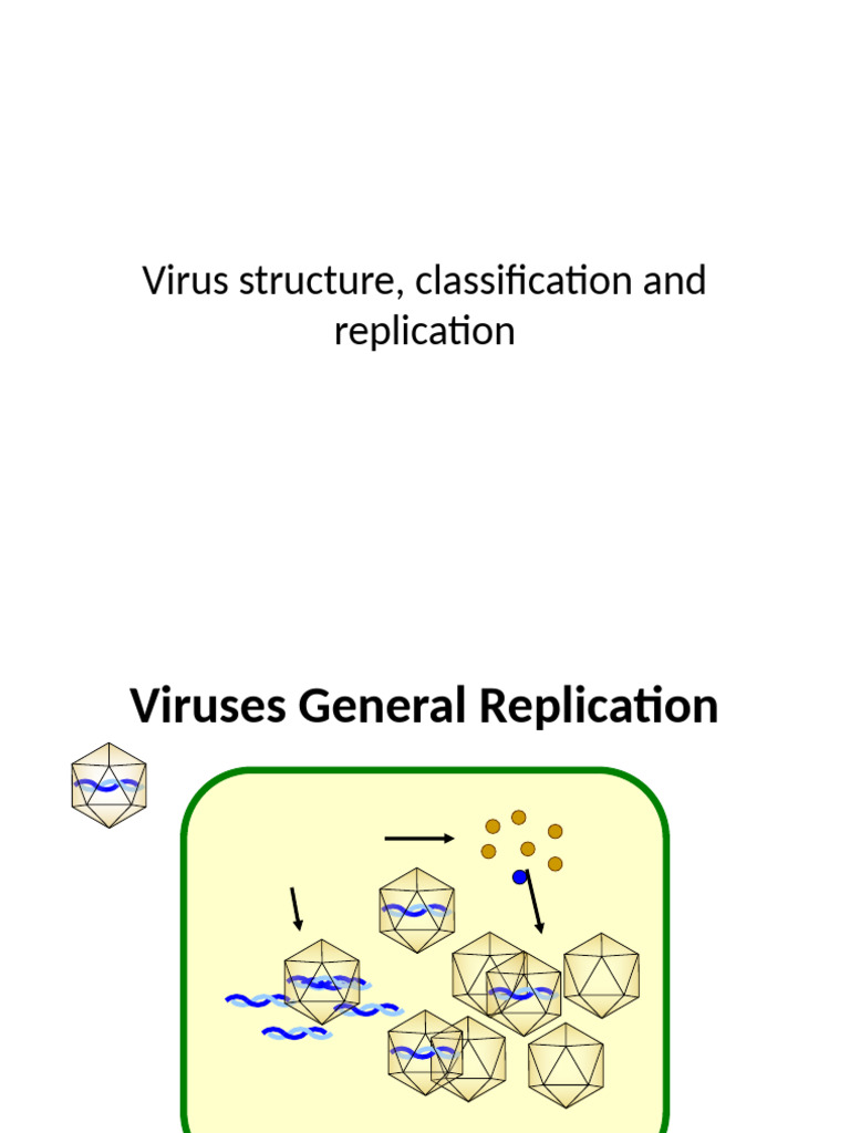 Virus Structure and Classification Guide | PDF | Virus | Virology