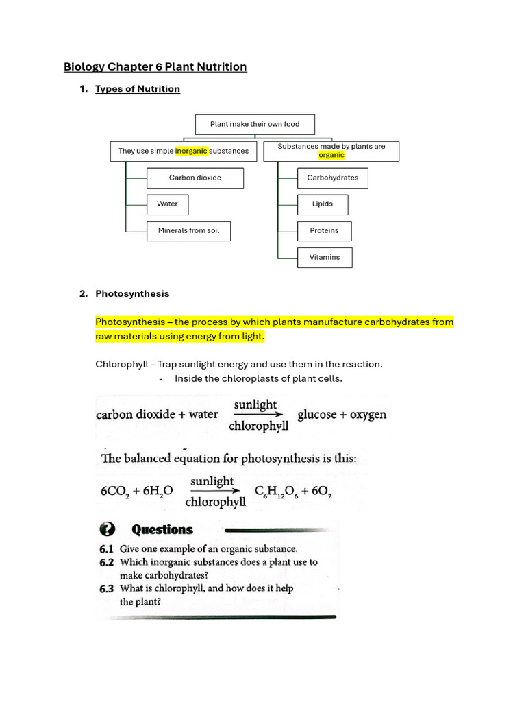 Biology Chapter 6_Plant Nutrition | PDF | Leaf | Stoma