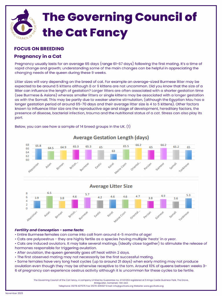 Kitten Gestation | PDF