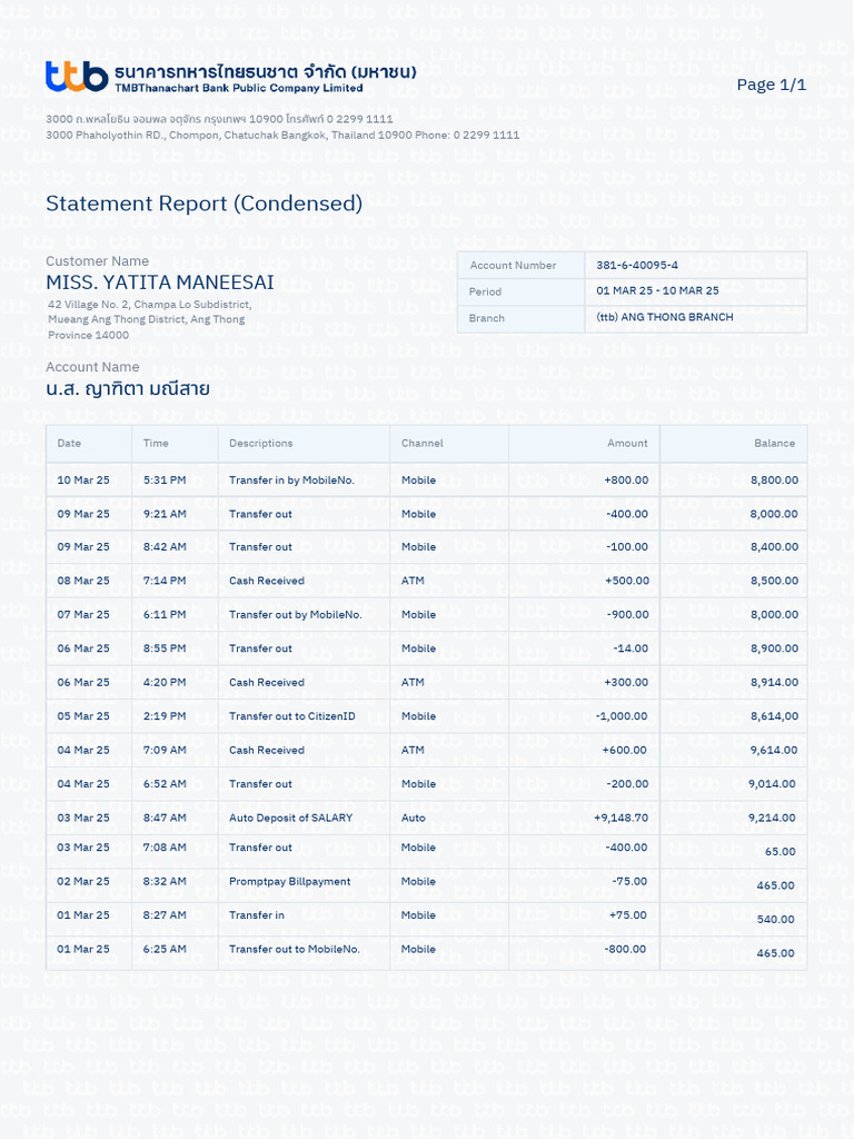 AccountStatement 10032025 | PDF | Services (Economics) | Service Industries