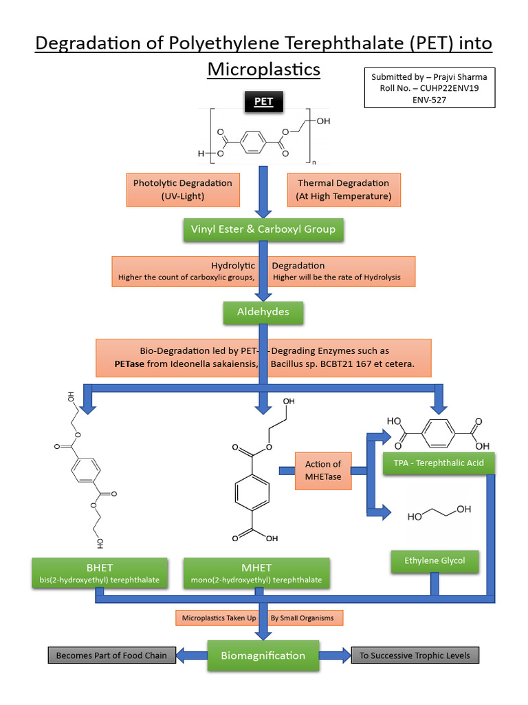 PET Degradation and Microplastics | PDF