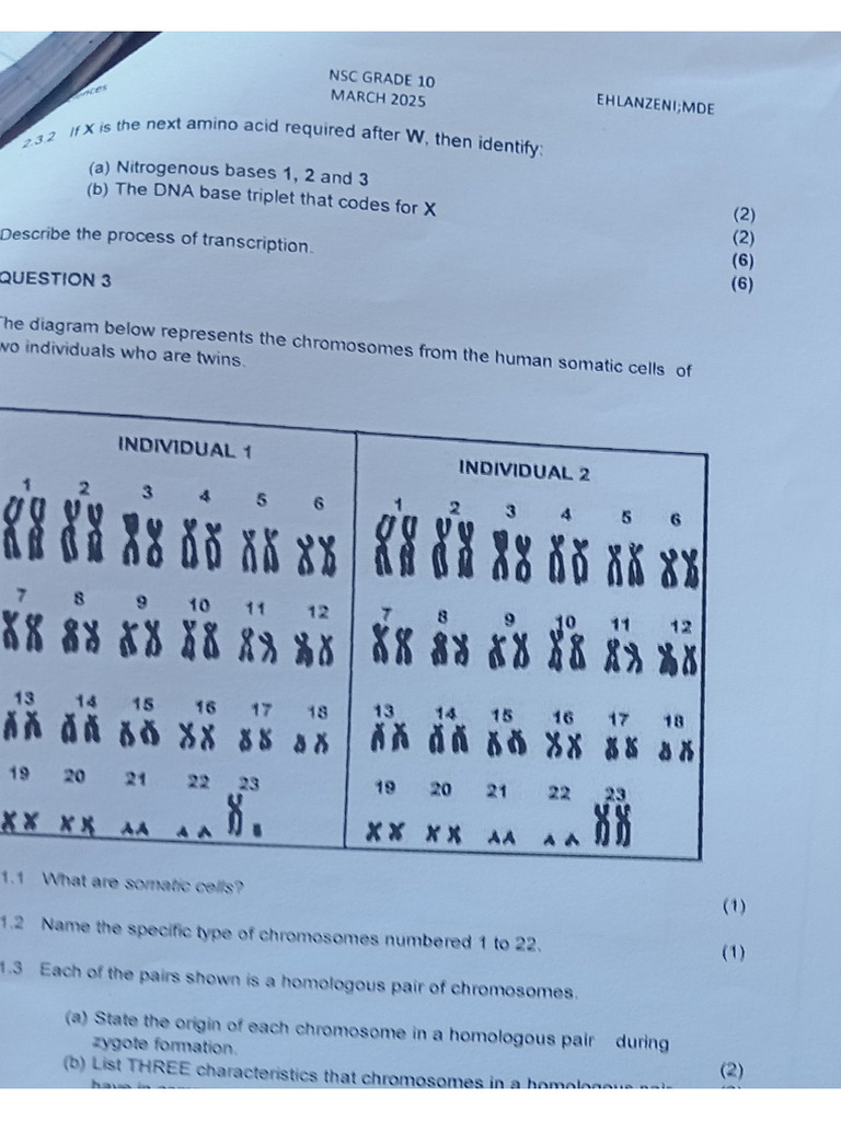 PDFReader 20250327 090vb | PDF