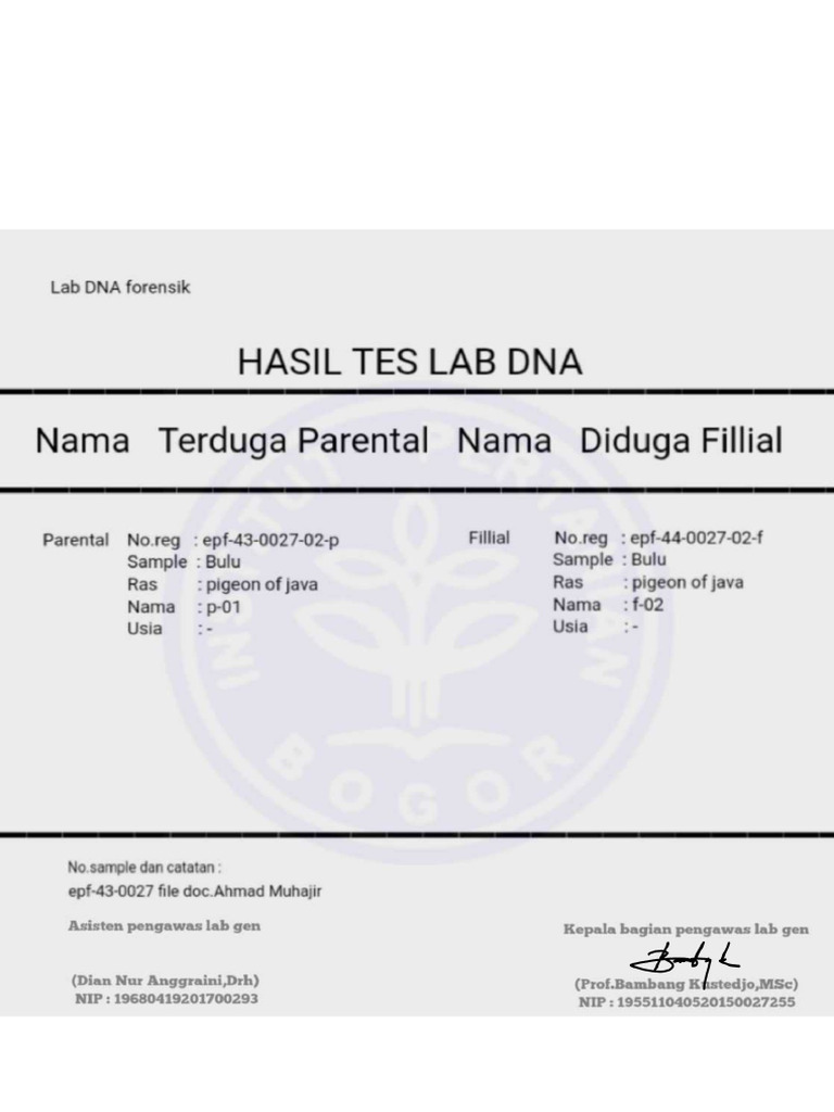 Scan lab asli_edit_1 | PDF