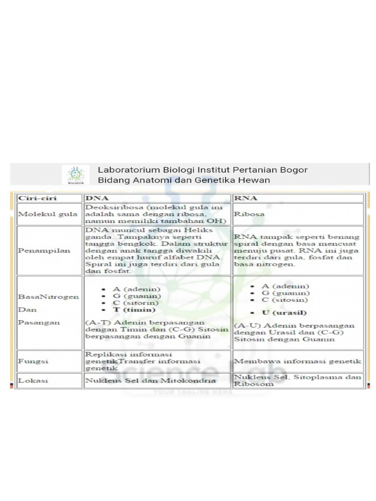 Lab | PDF