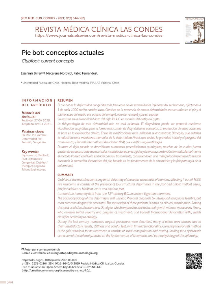 Pie Bot Lectura | PDF | Pie | Anatomía del miembro inferior