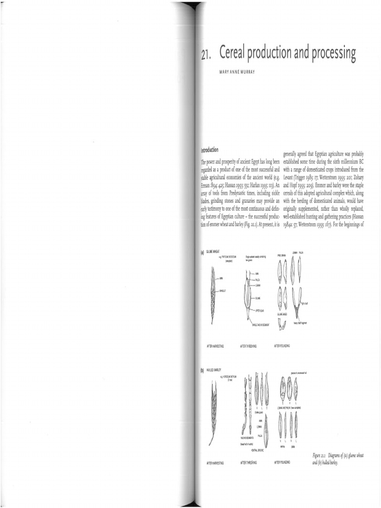21 +cereal+production+and+processing | PDF