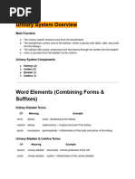 Urology Medical Terminology | PDF | Urinary System | Kidney