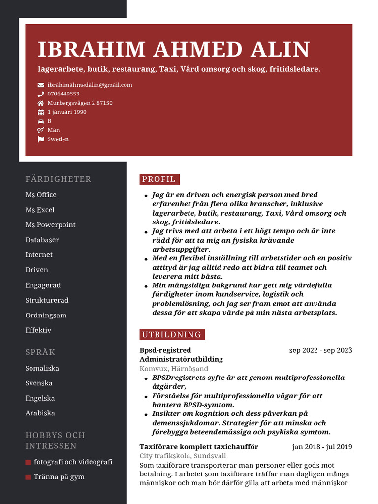 Kopia Av Kopia Av Kopia Av Kopia Av Kopia Av Kopia Av CV Ibrahim Ahmed Alin #1 PDF | PDF