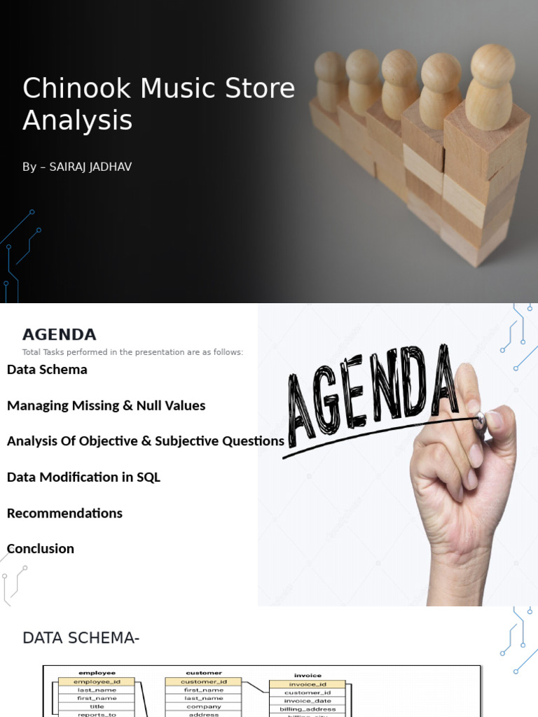 SQL NS Project Presentation | PDF | Consumer Behaviour | Alternative Rock