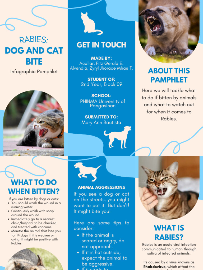 RABIES PAMPHLET_20241027_214757_0000 | PDF | Rabies | Public Health