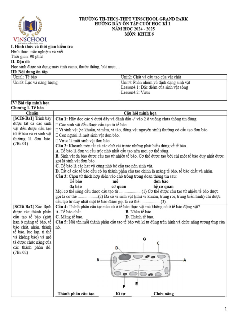 Ôn tập cuối HK 1 - KHTH - LỚP 6 - CHƯƠNG 1, 2, 3 và 4 PDF | PDF