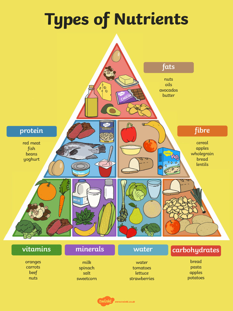T T 18618 Types of Nutrients Pyramid Poster - Ver - 4 | PDF