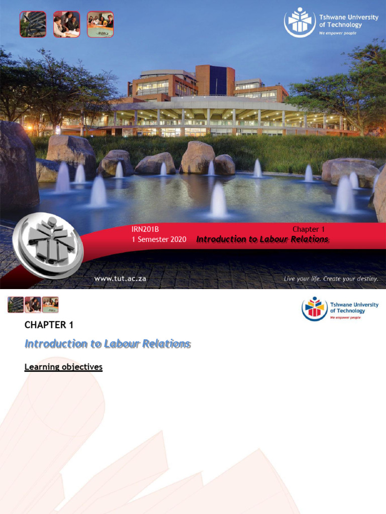 Introduction to Labour Relations | PDF | Employment | Labor Relations