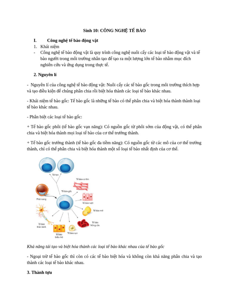 CNTB LT | PDF