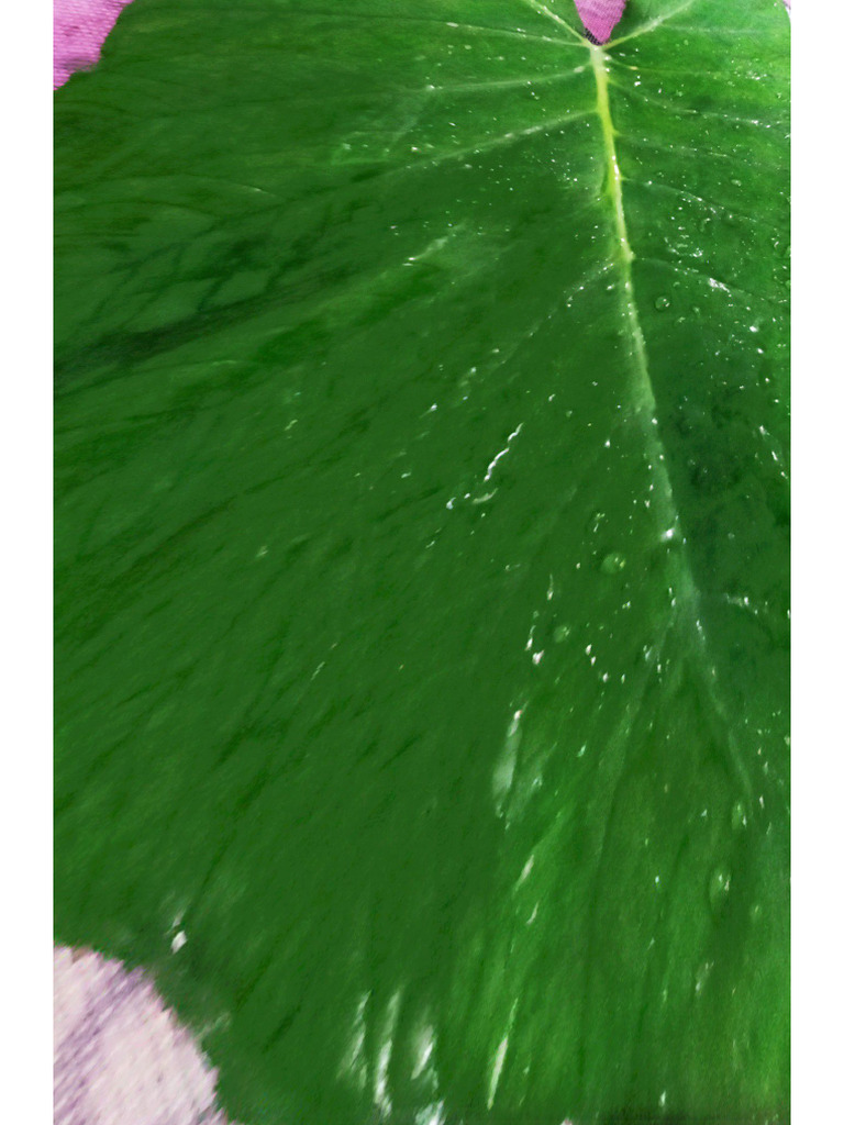 OneRead 20250327 1507 | PDF