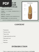 Colorimetric | PDF | Color | Hair