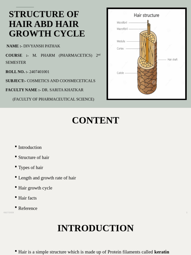 Hair Structure and Growth Cycle Overview | PDF | Hair | Integumentary ...