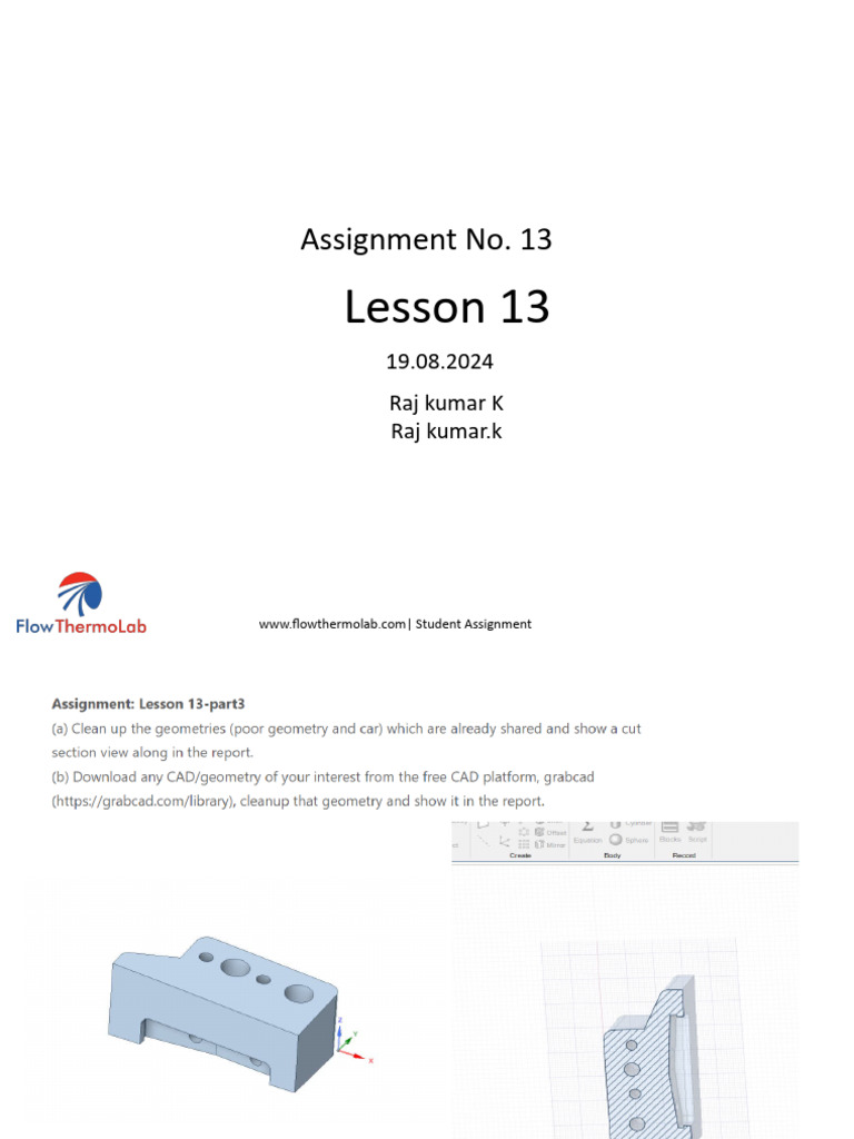 Assignment 13 Pdf