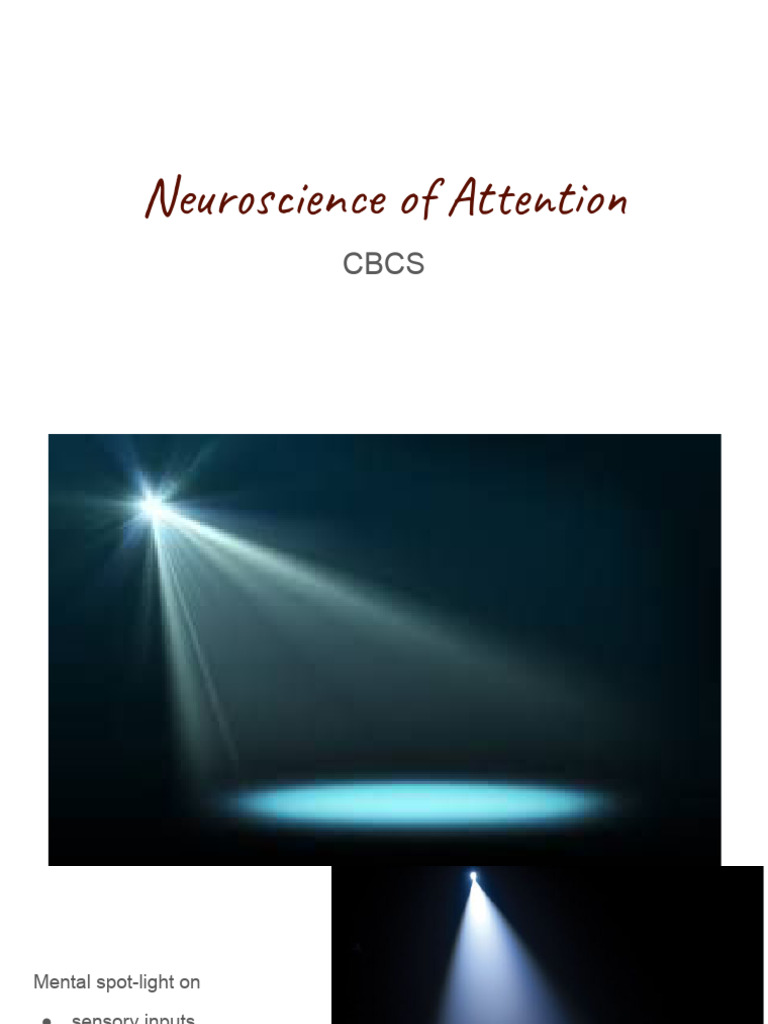 Neuroscience of Attention | PDF | Attention | Visual Cortex
