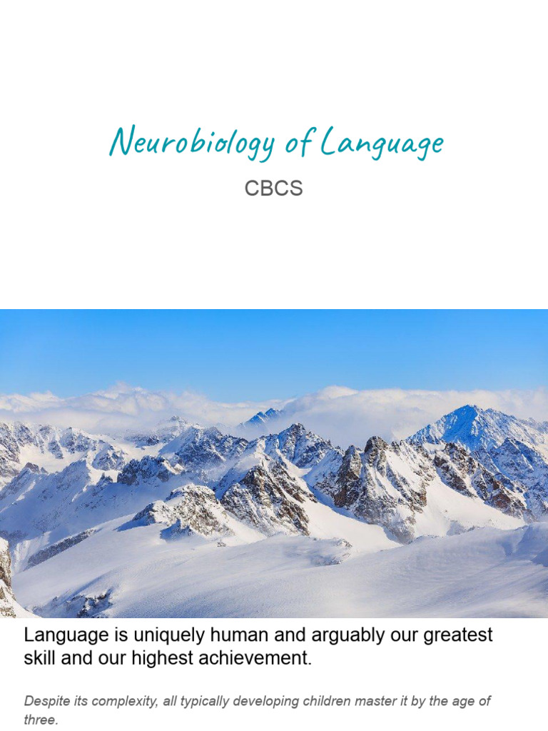 Neurobiology of Language | PDF | Lateralization Of Brain Function | Speech