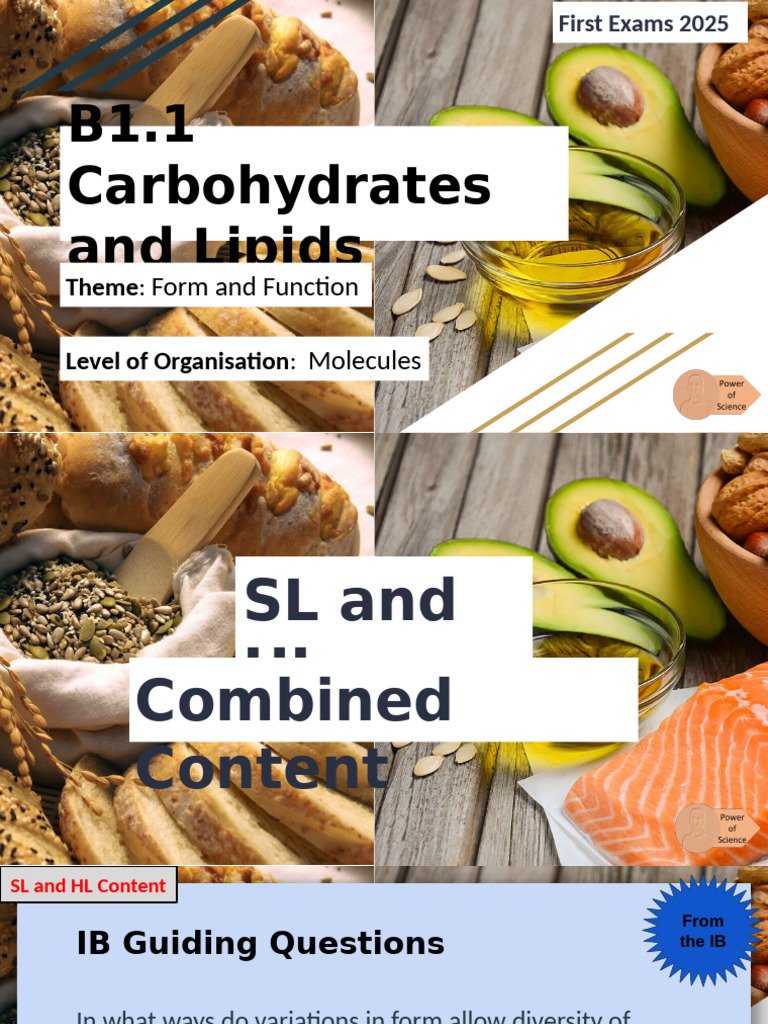 B1.1 Carbohydrates and Lipids | PDF | Triglyceride | Carbohydrates