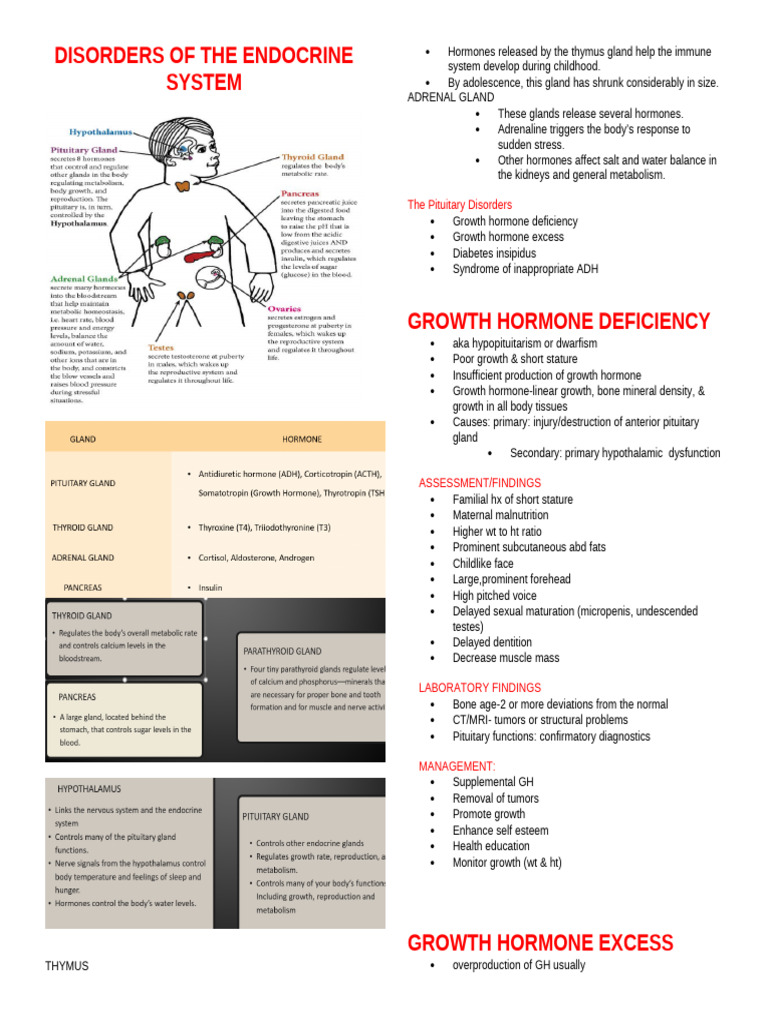 Endocrine System Disorders Overview | PDF | Adrenal Gland | Growth Hormone
