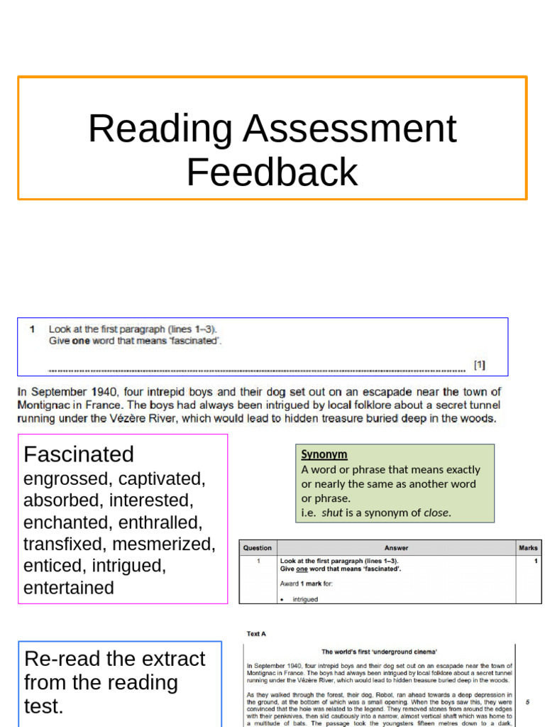 Reading Assessment Feedback | PDF | Semiotics | Writing