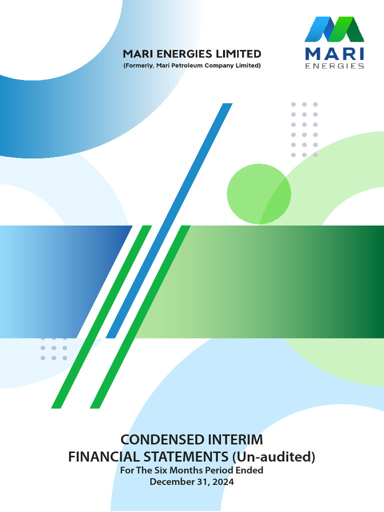 Mari Energies Financial Review 2024 | PDF | Taxes | Safety