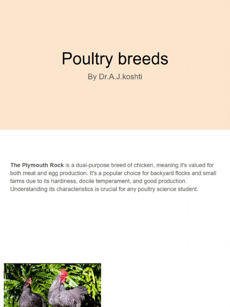 Poultry Breed Profiles for Students | PDF