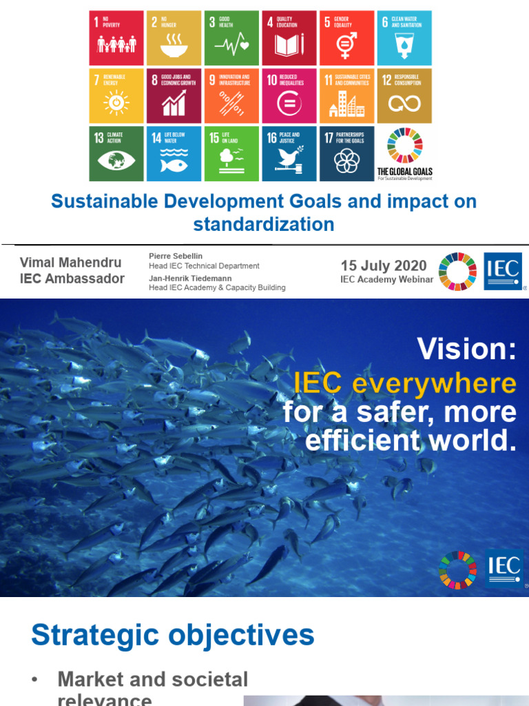 IEC Academy SDG Presentation | PDF | Natural Environment | Environment