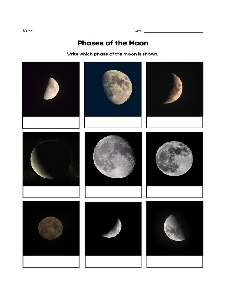 Phases of The Moon Worksheet With in A Photographic Style | PDF