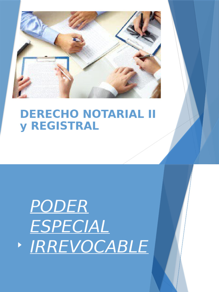 Power Poder Especial Irrevocable | PDF