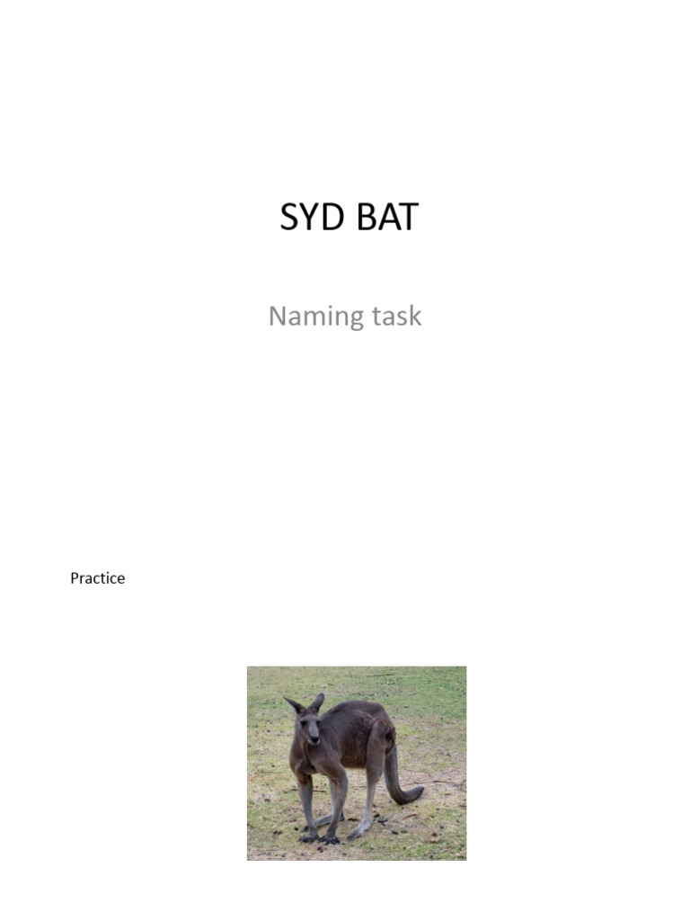SLB Naming Task | PDF