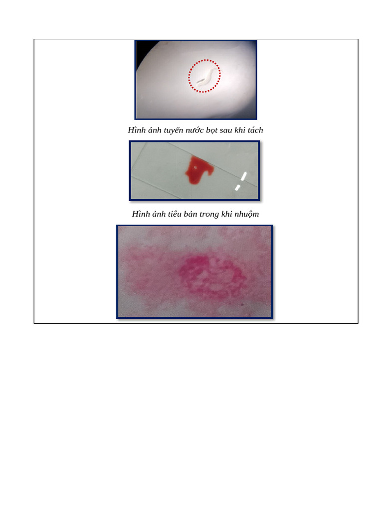 Tư NG Trình TH C Hành TN4 | PDF