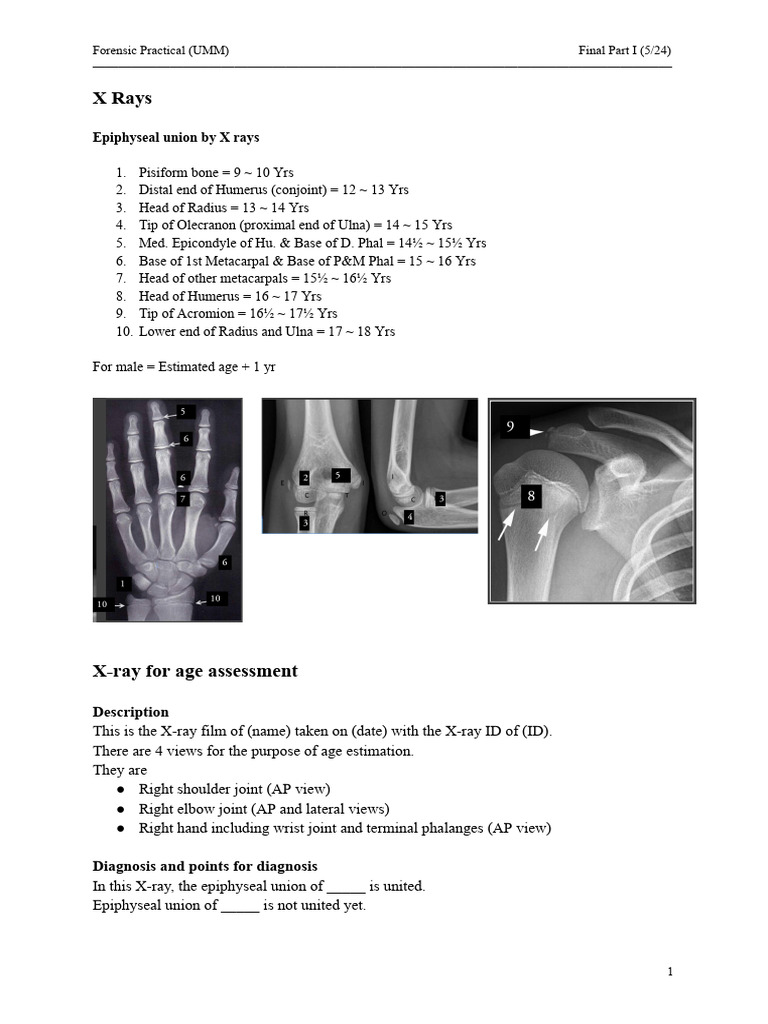 Forensic X Ray Practical | PDF | Crimes | Crime & Violence