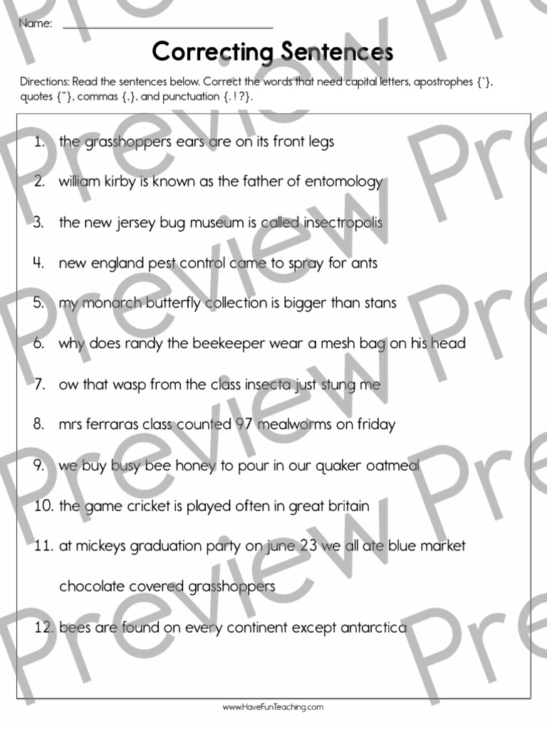 Sentence Correction Worksheet | PDF