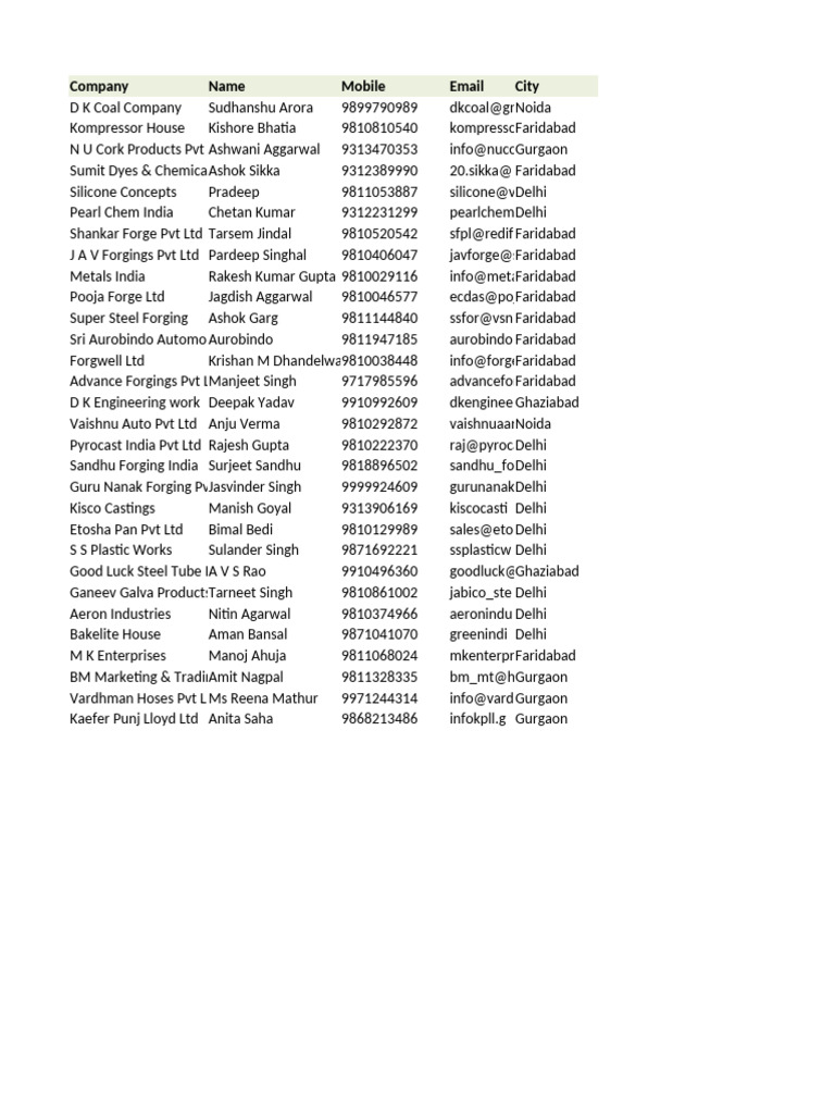 Delhi NCR Manufacturing Company Data Sample | PDF
