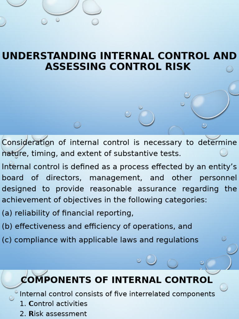 UNDERSTANDING INTERNAL CONTROL | PDF | Internal Control | Business